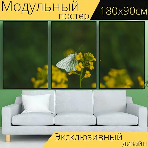 Модульный постер "Бабочка, белая, трава" 180 x 90 см. для интерьера