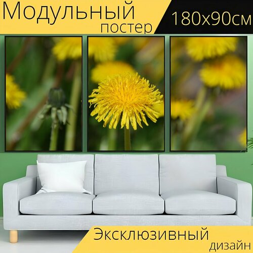 Модульный постер "Одуванчик, желтый, весна" 180 x 90 см. для интерьера