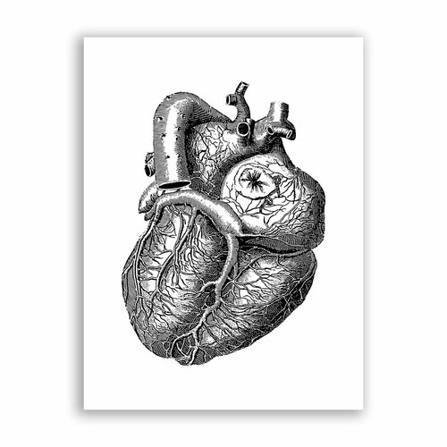 Постер плакат на бумаге / Черно-белые - Сердце / Размер 80 x 106 см
