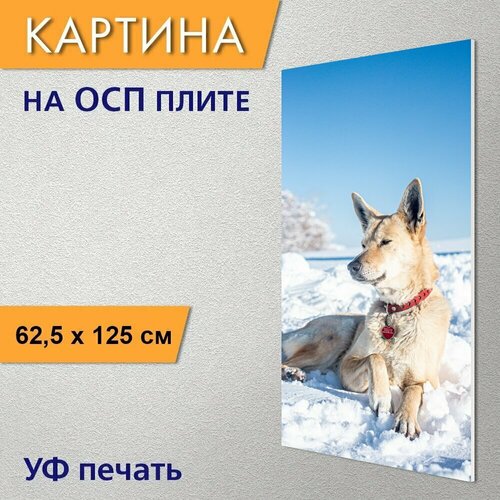 Вертикальная картина на ОСП "Собака, домашний питомец, снег" 62x125 см. для интерьериа