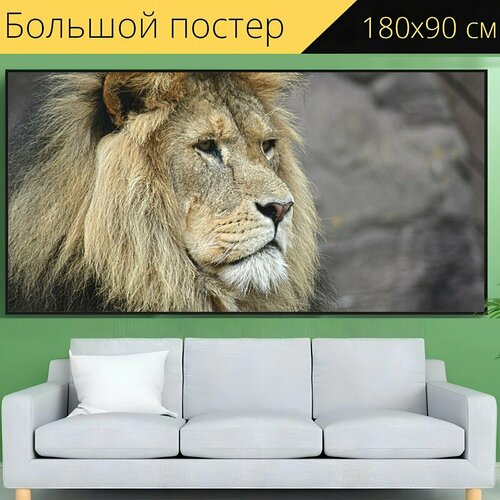 Большой постер "Лев, король, грива" 180 x 90 см. для интерьера