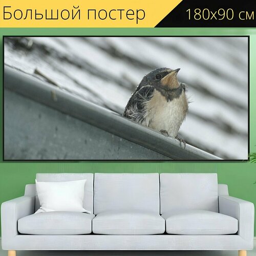 Большой постер "Птенец, природа, дикая природа" 180 x 90 см. для интерьера