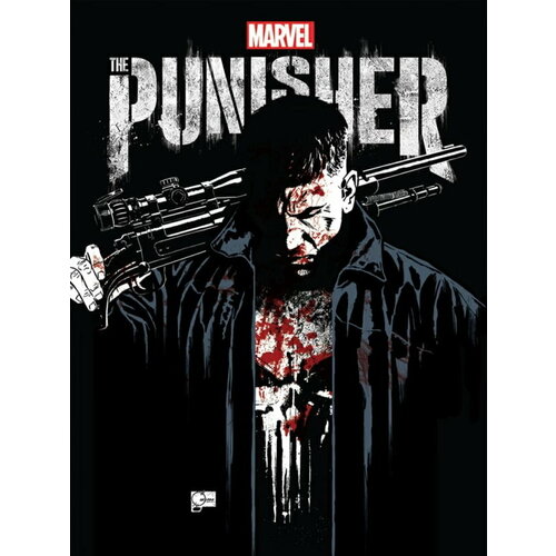 Плакат, постер на бумаге Punisher/Каратель/игровые/игра/компьютерные герои персонажи. Размер 21 х 30 см
