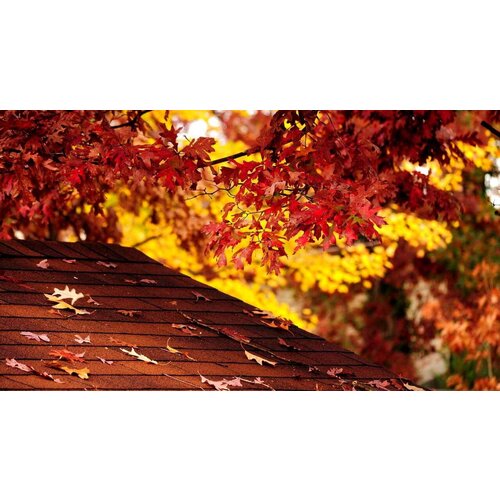 Картина на холсте 60x110 Альянс Лес "Fall Color природа осень" на подрамнике / интерьер/ декор