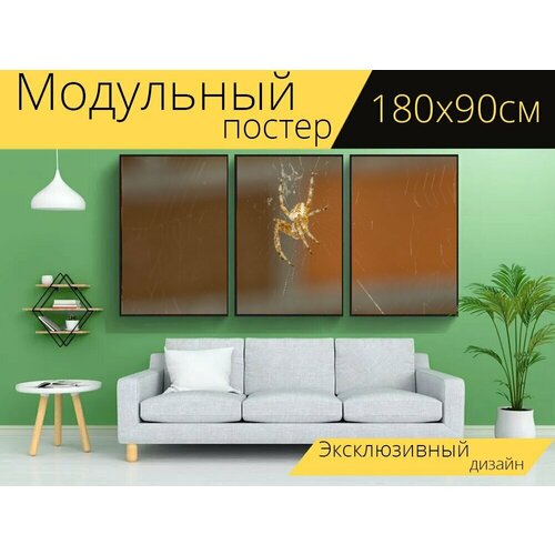 Модульный постер "Паук, ползающее животное, насекомое" 180 x 90 см. для интерьера