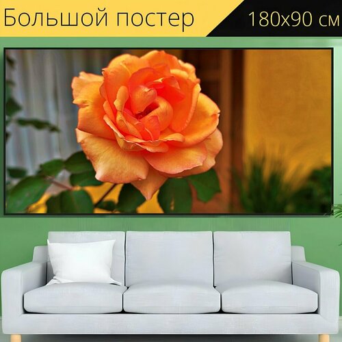 Большой постер "Розы, дом, апельсин" 180 x 90 см. для интерьера
