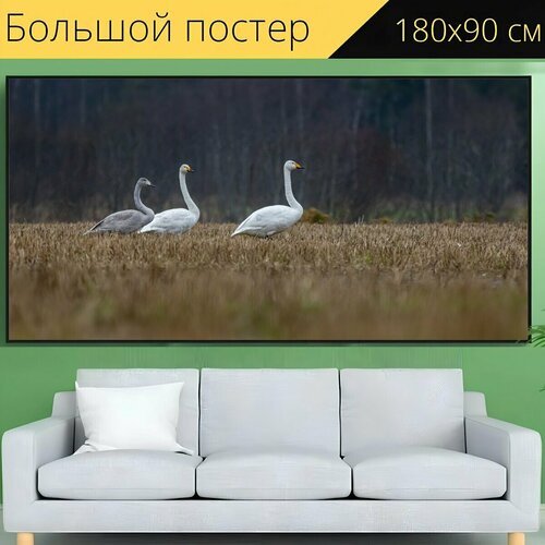 Большой постер "Кликунов, птицы, поле" 180 x 90 см. для интерьера