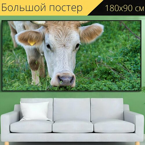 Большой постер "Корова, пастбище, сельское хозяйство" 180 x 90 см. для интерьера