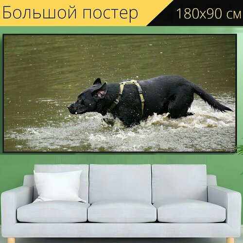 Большой постер "Лабрадор ретривер, собака, река" 180 x 90 см. для интерьера