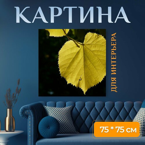 Картина на холсте "Листья липы, листья, желтый" на подрамнике 75х75 см. для интерьера