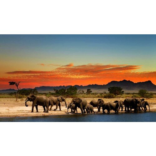 Картина на холсте 60x110 LinxOne "Водопой зарево африка Слоны стадо" интерьерная для дома / на стену / на кухню / с подрамником