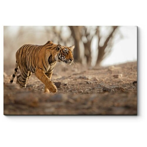 Модульная картина Тигр на охоте120x80