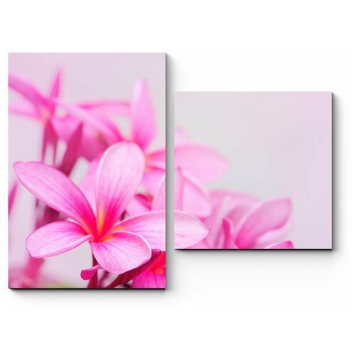 Модульная картина Свежие тропические цветы 160x120