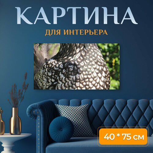 Картина на холсте "Курица, домашняя птица, животное" на подрамнике 75х40 см. для интерьера