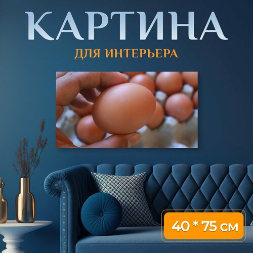 Картина на холсте "Яйца, яичная скорлупа, питательный" на подрамнике 75х40 см. для интерьера