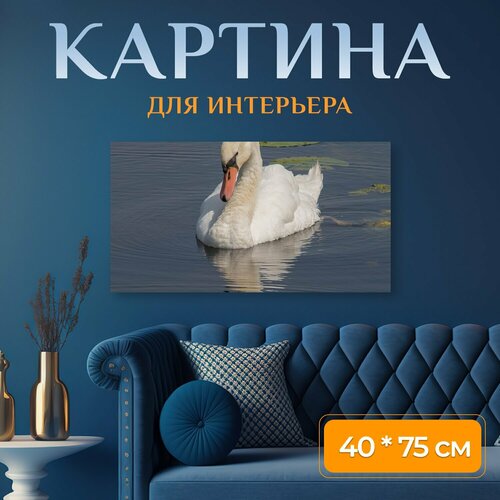 Картина на холсте "Лебедь, отражение, озеро" на подрамнике 75х40 см. для интерьера