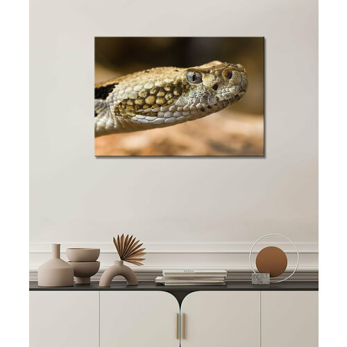 Картина - змея, техасский гремучник, ямкоголовая змея, ядовитая змея, большая змея, кожа змеи (4) 50х70