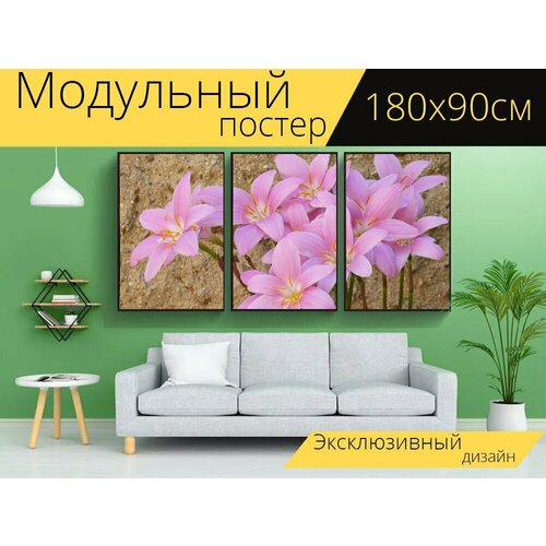 Модульный постер "Цветы, розового цвета, салон красоты" 180 x 90 см. для интерьера