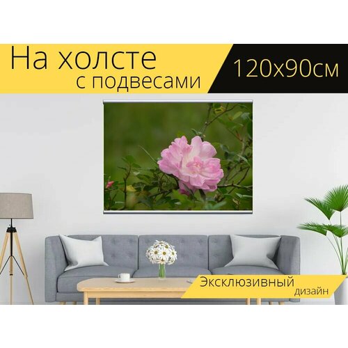 Картина на холсте "Роза, розовые лепестки, розовый цветок" с подвесами 120х90 см. для интерьера