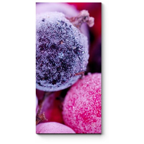 Модульная картина Зимние ягоды 40x80