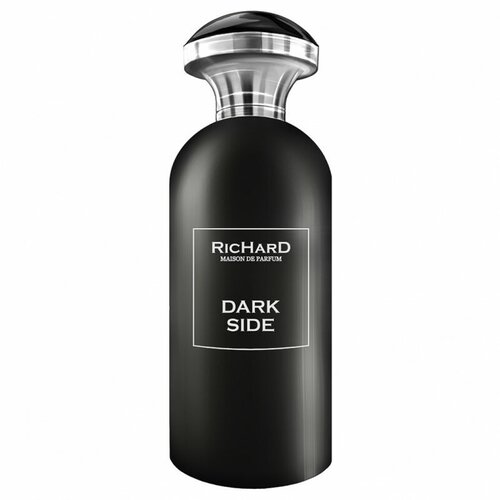 Парфюмерная вода Richard Dark Side 100 мл.