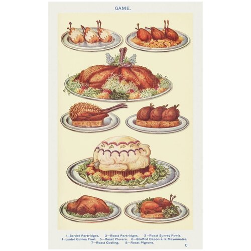 Постер / Плакат / Картина Еда - Блюда из дичи 50х70 см в раме
