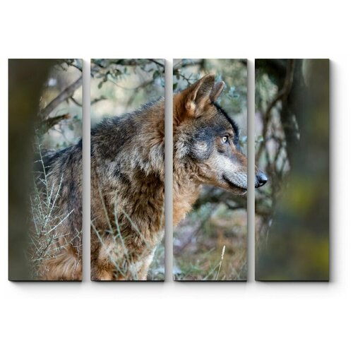 Модульная картина Волк спрятался между деревьями 200x150