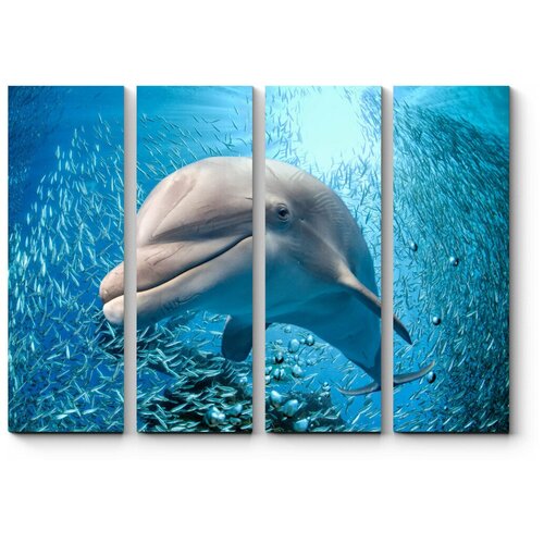 Модульная картина Улыбка дельфина 80x60