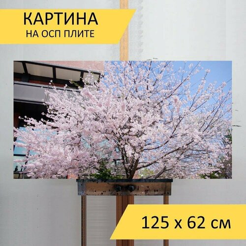 Картина на ОСП 125х62 см. "Сакура, дерево, цвести" горизонтальная, для интерьера, с креплениями