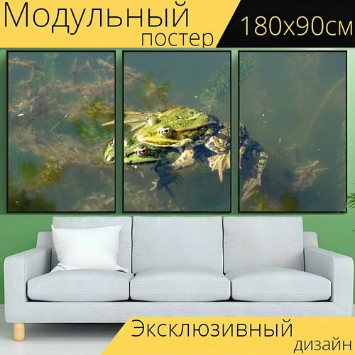 Модульный постер "Лягушка, лягушки, животные" 180 x 90 см. для интерьера