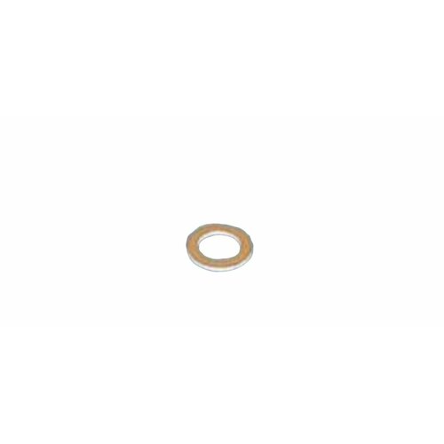 Уплотнительное кольцо (прокладка) сопла для духового шкафа Beko (Беко) - 255100012