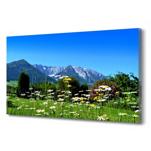 Картина на холсте "Цветочный луг" PRC-565 (45x30см). Натуральный холст
