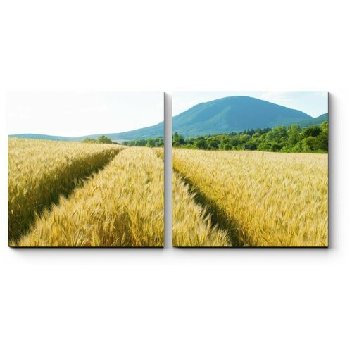 Модульная картина Пшеничное поле в лучах солнца 180x90