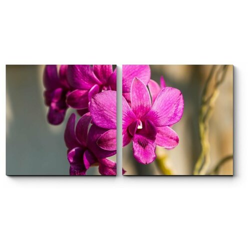 Модульная картина Королева цветов - прекрасная орхидея 120x60