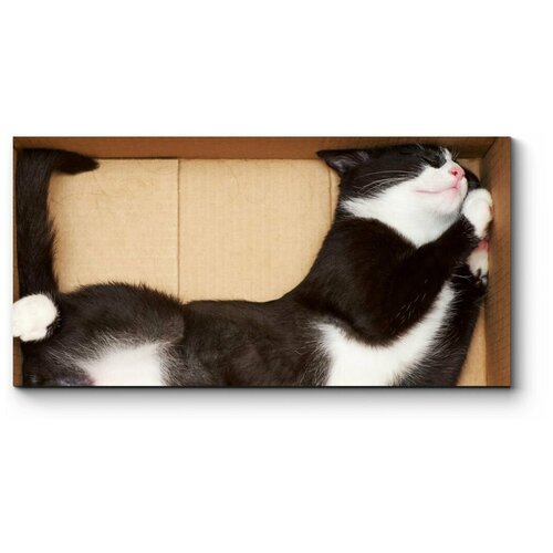 Модульная картина Кот в картонном домике 190x95