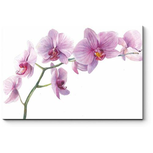 Модульная картина Ветка чудесной орхидеи 70x47