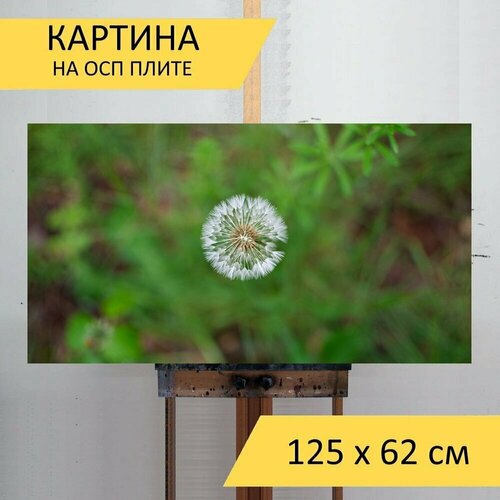Картина на ОСП 125х62 см. "Одуванчик, цветок, семена" горизонтальная, для интерьера, с креплениями