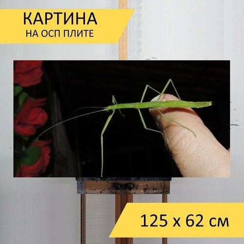 Картина на ОСП 125х62 см. "Природа, палочное насекомое, чудак" горизонтальная, для интерьера, с креплениями