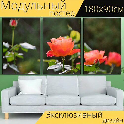 Модульный постер "Розы, романтичный, яркий" 180 x 90 см. для интерьера