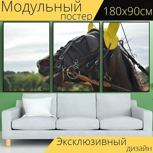 Модульный постер "Лошадь, скачки, желтая шапка" 180 x 90 см. для интерьера