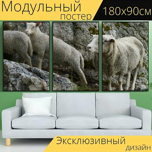 Модульный постер "Овец, овца, ягненок" 180 x 90 см. для интерьера