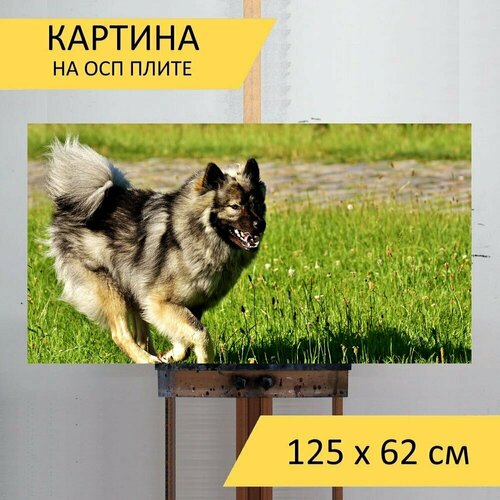 Картина на ОСП 125х62 см. "Евразиец, собака, гонка" горизонтальная, для интерьера, с креплениями