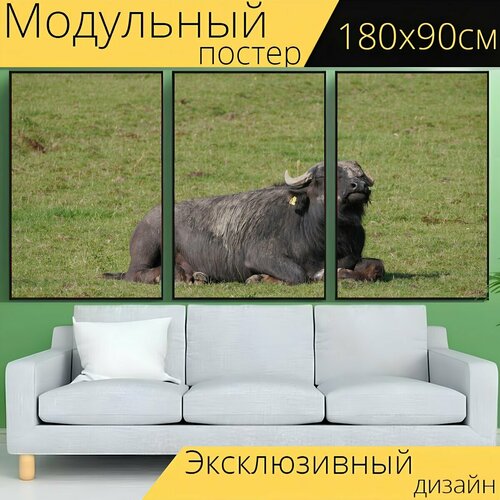 Модульный постер "Животное, буйвол, водяной буйвол" 180 x 90 см. для интерьера
