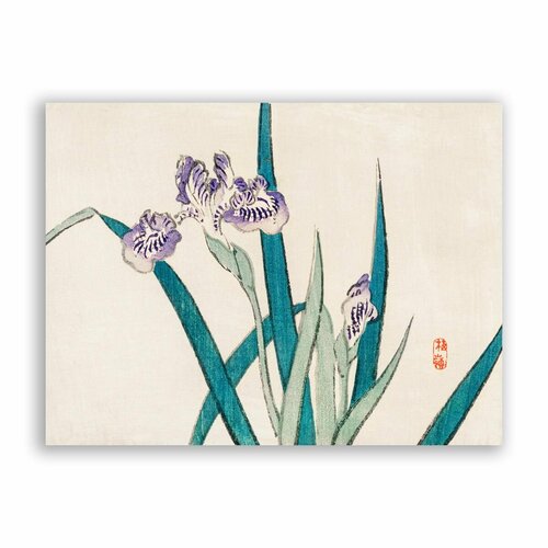 Картина на холсте, репродукция / Байрэй, Коно - Irises / Размер 30 x 40 см