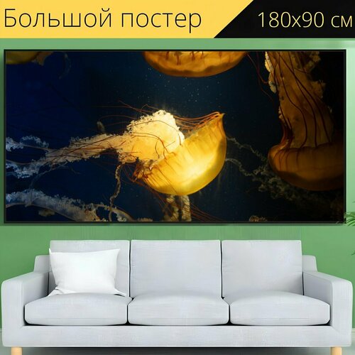 Большой постер "Медуза, существо, водный" 180 x 90 см. для интерьера