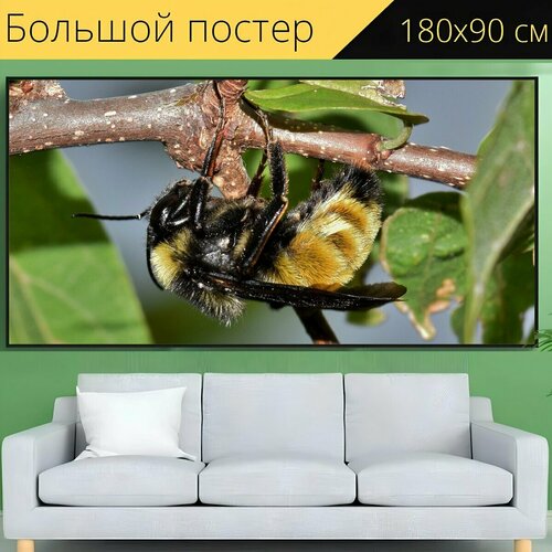 Большой постер "Пчела, шмель, насекомое" 180 x 90 см. для интерьера