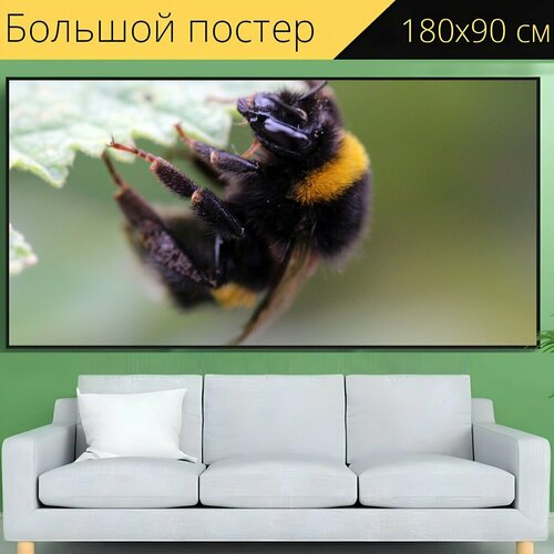 Большой постер "Пыльца, летать, пчелы" 180 x 90 см. для интерьера