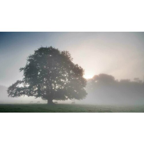 Картина на холсте 110x60 LinxOne "Деревья в тумане" интерьерная для дома / на стену / на кухню / с подрамником