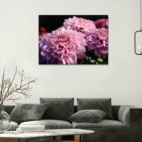 Интерьерная картина на холсте - розовые хризантемы 30х40