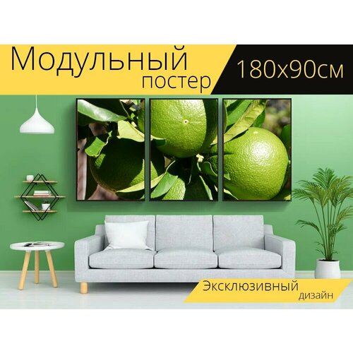 Модульный постер "Апельсины, зелень, фрукты" 180 x 90 см. для интерьера